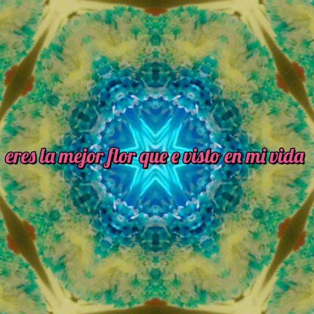 Photo effects combo by Linda Rubi Trejo Beltran on Photo Lab