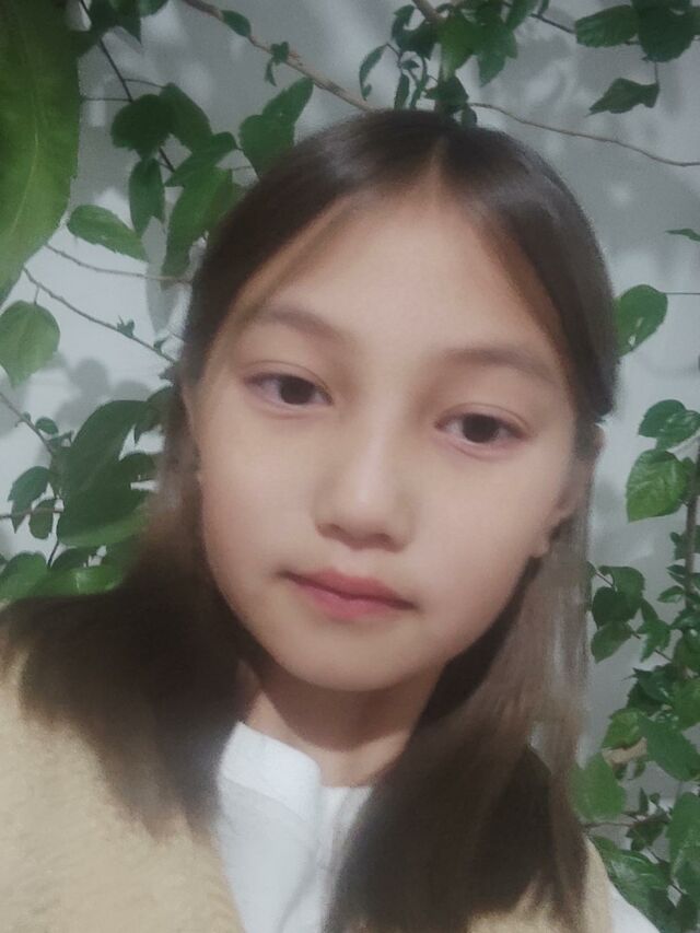 Photo effects collection by Gulukan on Photo Lab