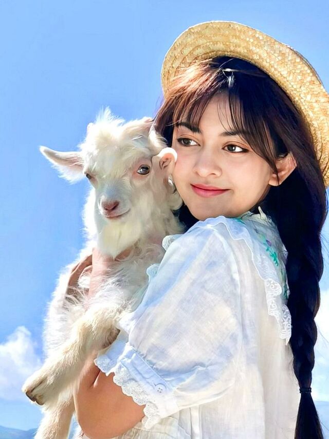 Photo effects collection by Tara se on Photo Lab