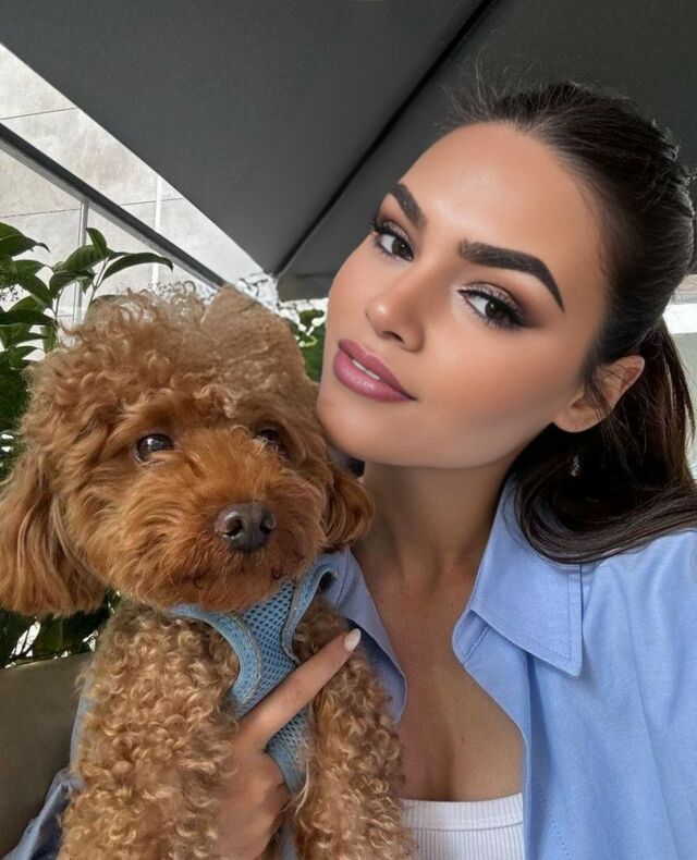 Photo effects collection by Simona Dan on Photo Lab