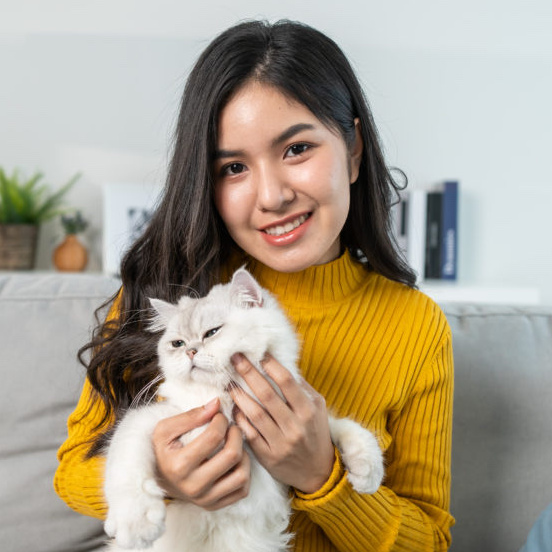 Photo effects collection by MARIA CARO on Photo Lab